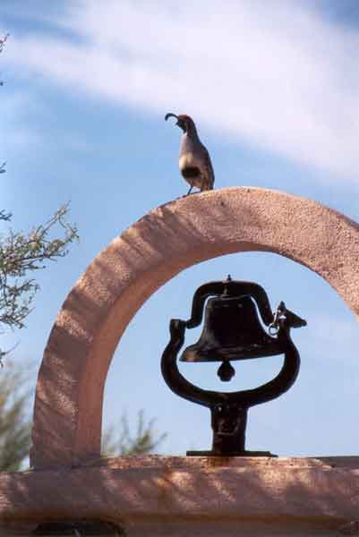 Mac's Menagerie - Airborn